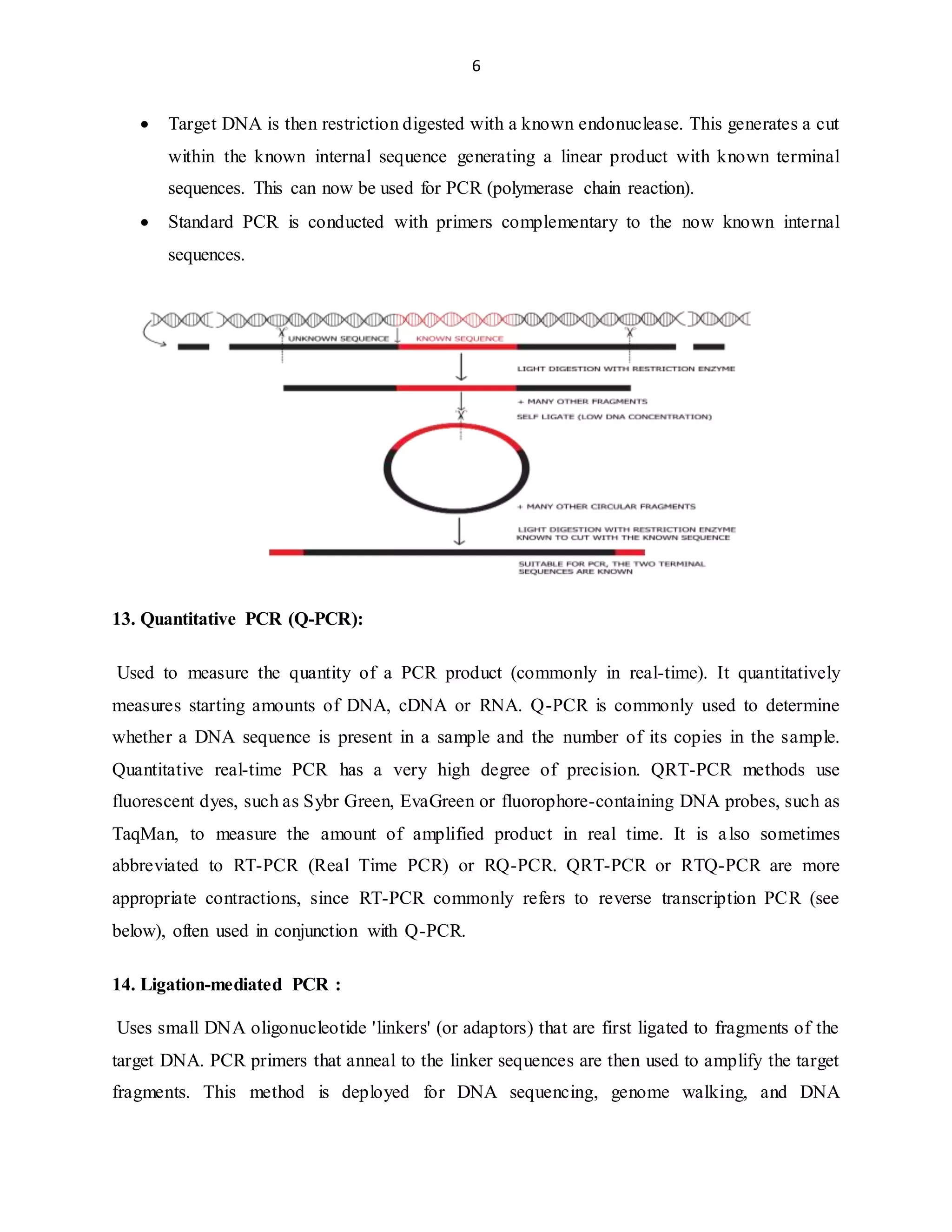 Types of PCR | DOCX