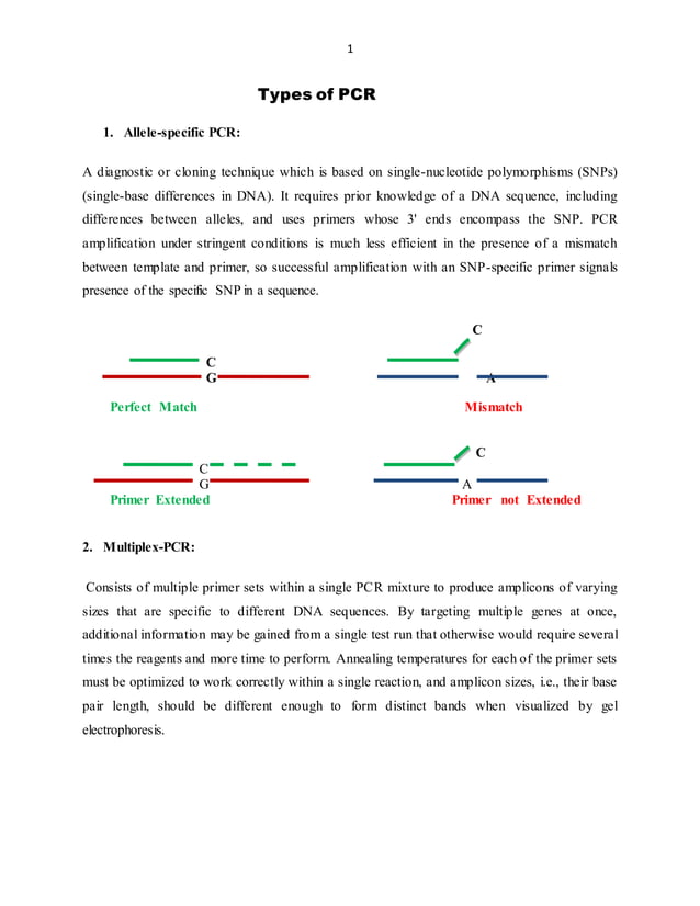 Types of PCR | DOCX