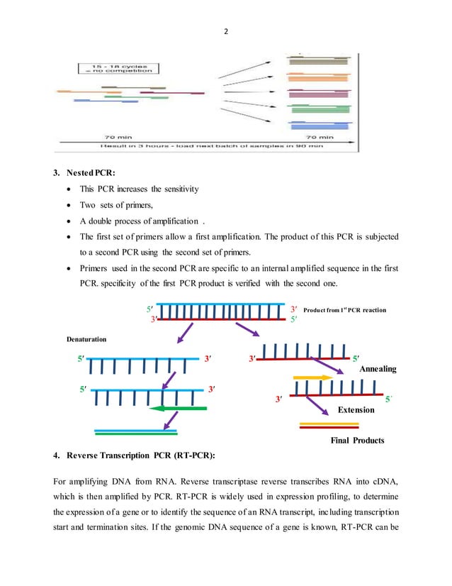 Types of PCR | DOCX