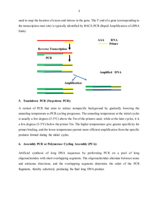 Types of PCR | DOCX