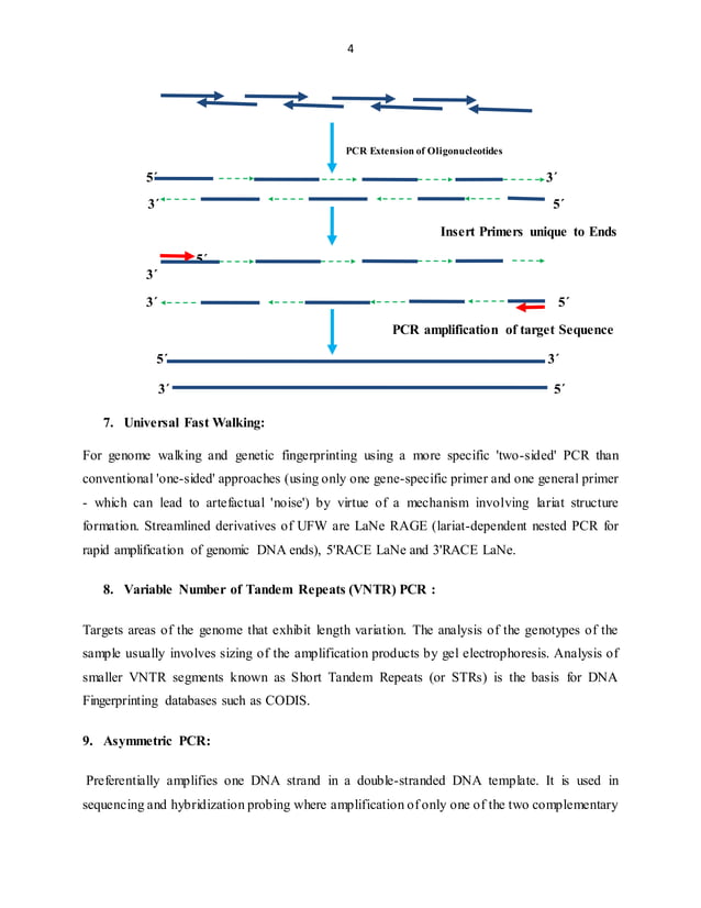 Types of PCR | DOCX
