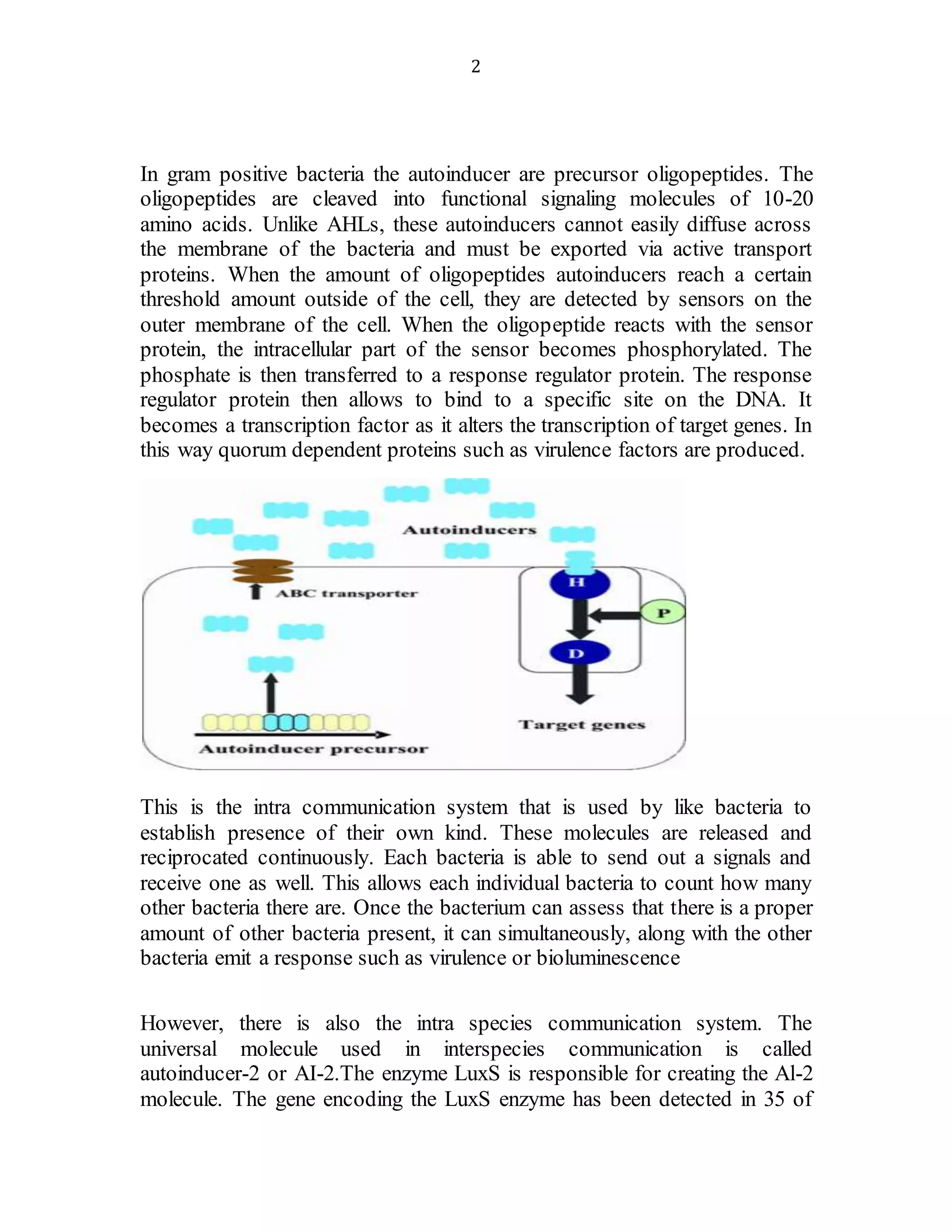 quorum sensing and biofilms | DOCX
