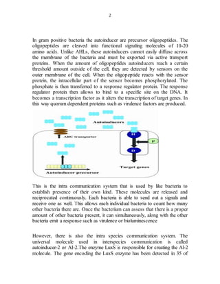 quorum sensing and biofilms | DOCX
