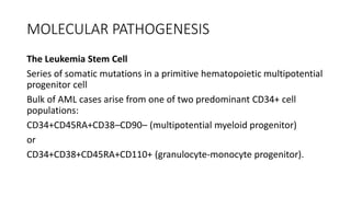 Acute myeloid leukemia | PPTX