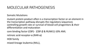 Acute myeloid leukemia | PPTX