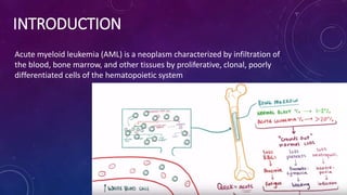 Aml | PPTX | Blood Disorders | Diseases and Conditions