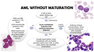 Acute myeloid leukemia.pptx Acute myeloid leukemia.pptx