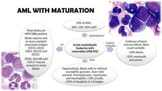 Acute myeloid leukemia.pptx Acute myeloid leukemia.pptx