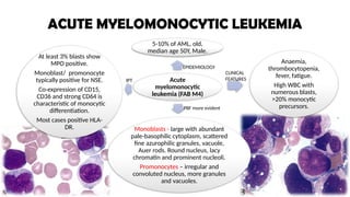Acute myeloid leukemia.pptx Acute myeloid leukemia.pptx