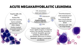 Acute myeloid leukemia.pptx Acute myeloid leukemia.pptx