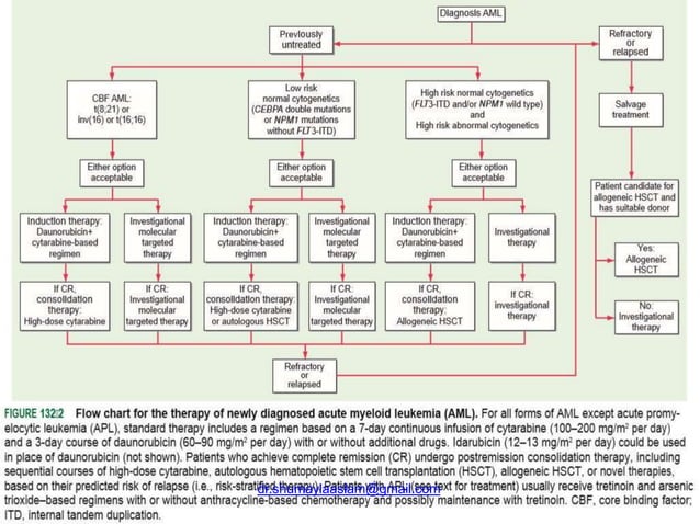 Aml converted | PPTX | Blood Disorders | Diseases and Conditions