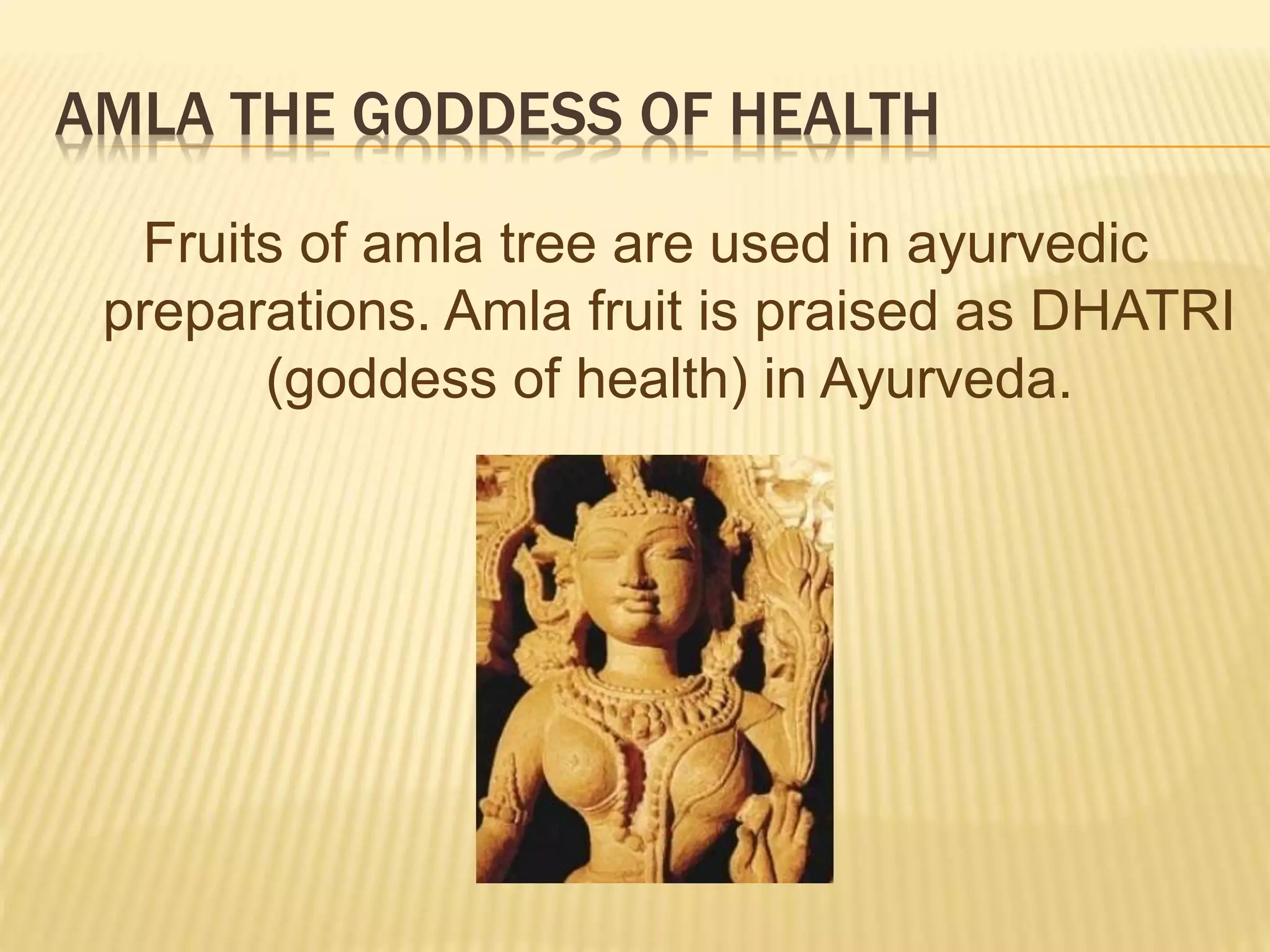 Ayurvedic Medicinal Properties of Amla | PPTX