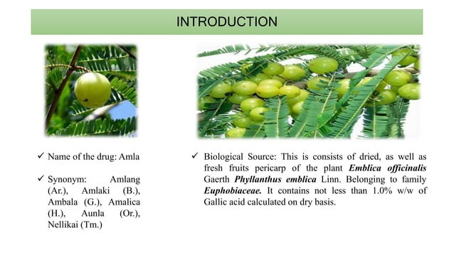 Amla | PPTX | Herbs and Supplements | Alternative Medicine