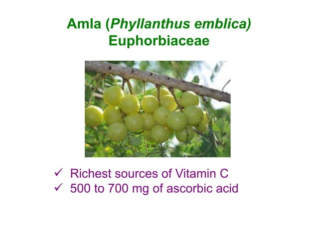Amla Production and plantation | PPT