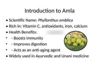 Amla_Candy (food industry application. ) | PPTX