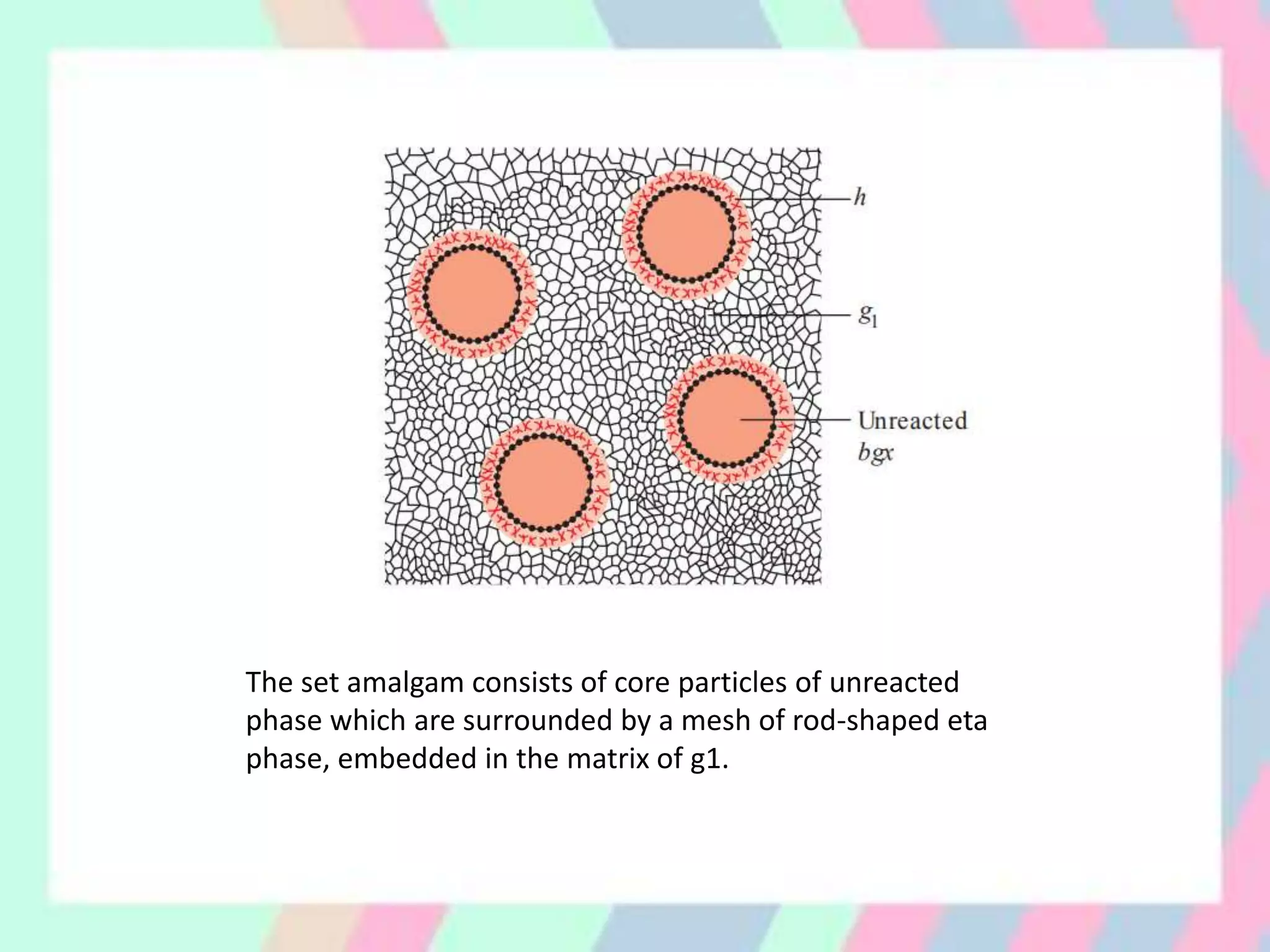 Dental Amalgam & Mercury Toxicity | PPTX