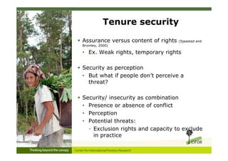 Research options for studying tenure security | PDF