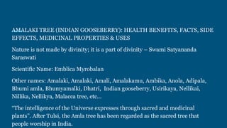 AMLA – THE HOLY DROPS OF AMRUTHA.pdf