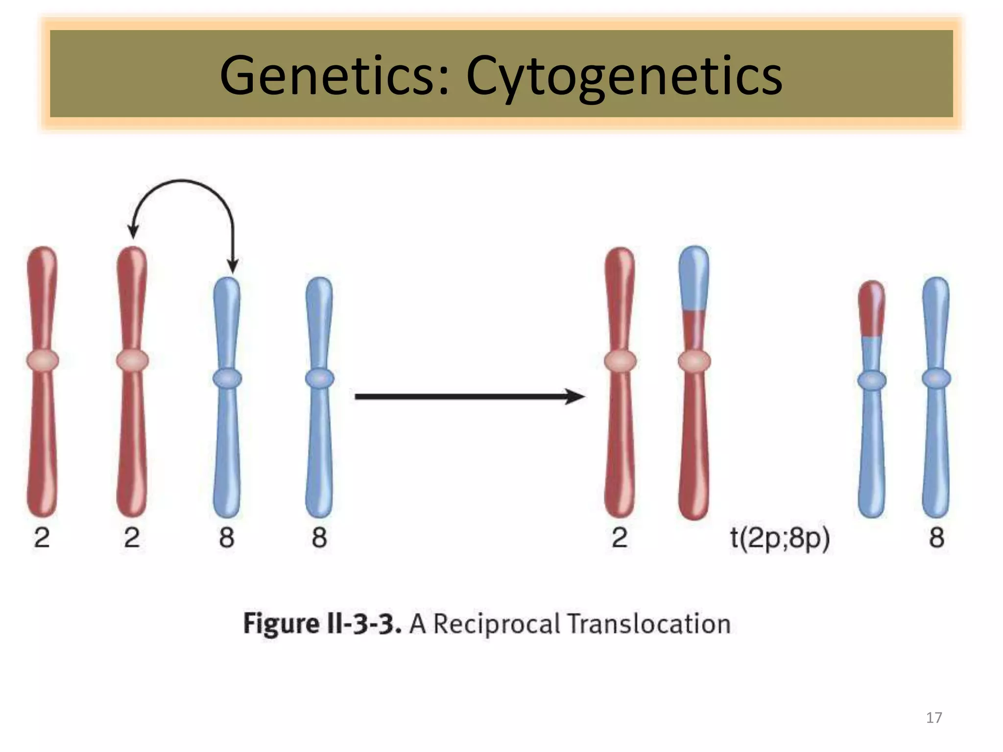 Acute Leukemia Cytogenetics | PPTX