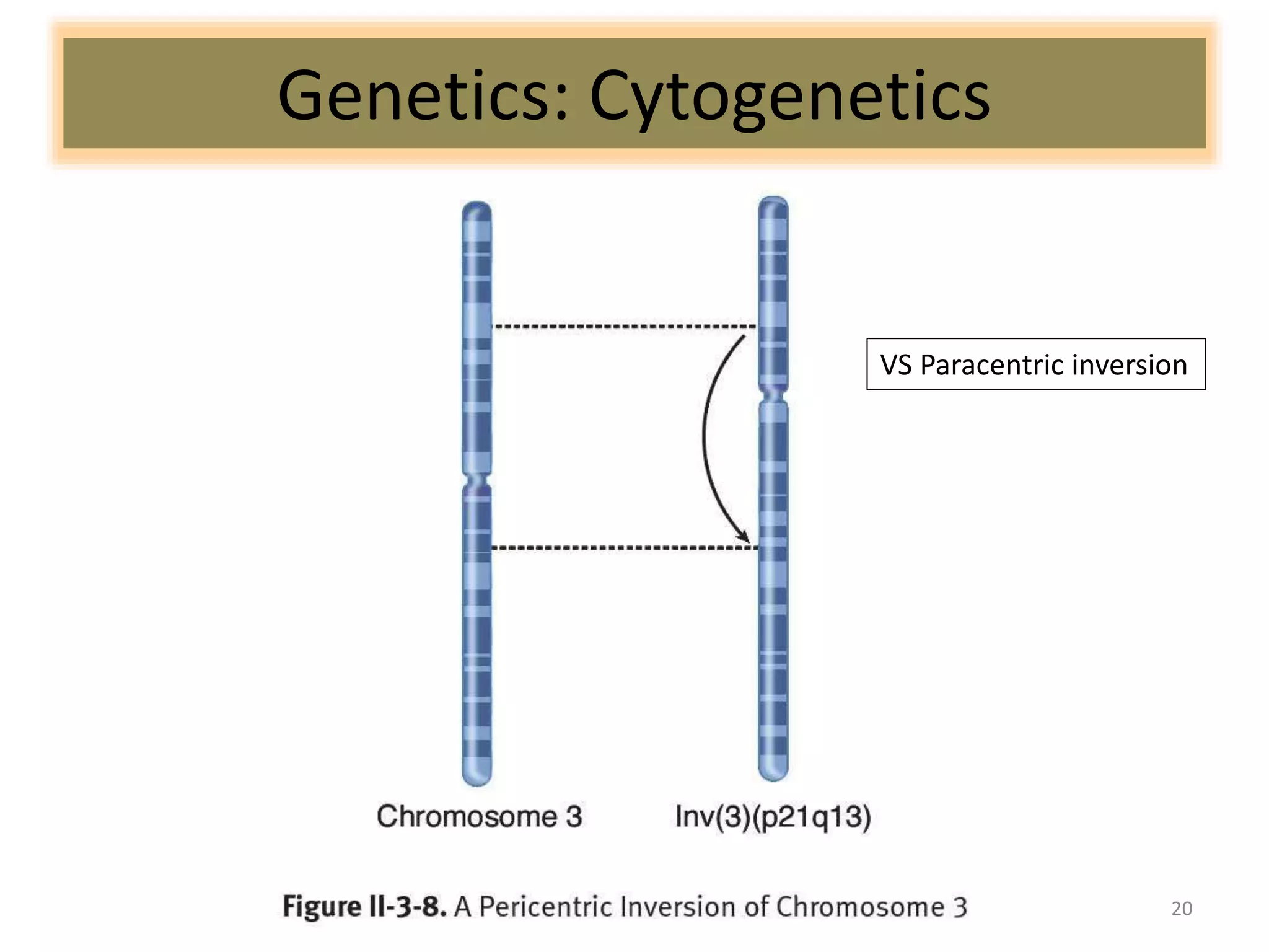 Acute Leukemia Cytogenetics | PPTX