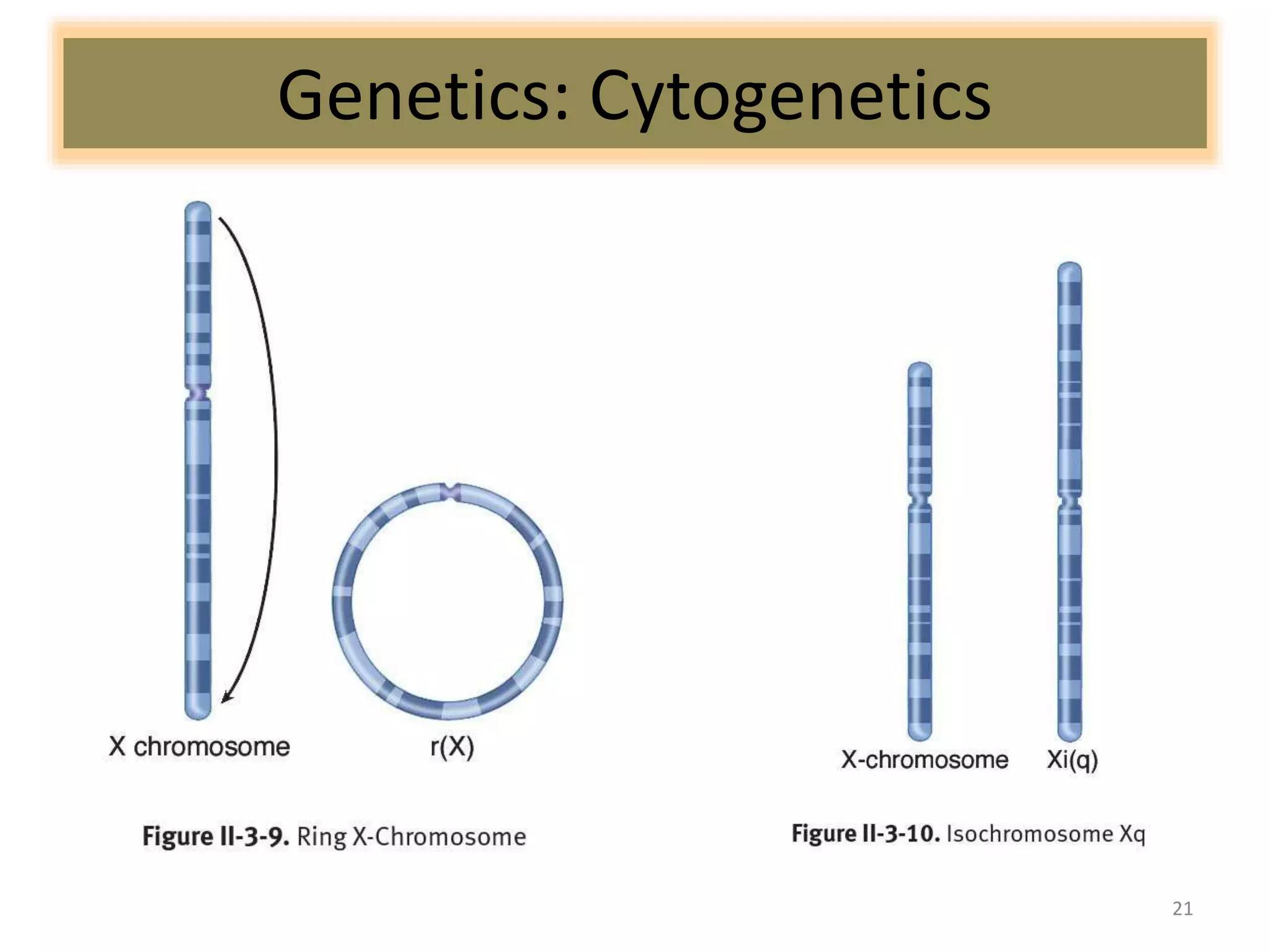 Acute Leukemia Cytogenetics | PPTX