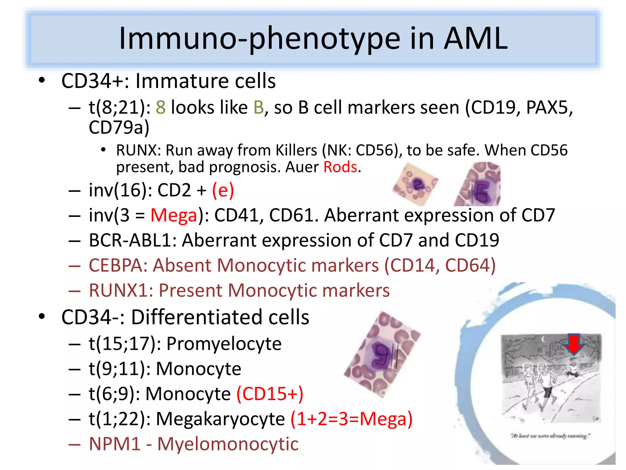 Acute Leukemia Cytogenetics | PPTX