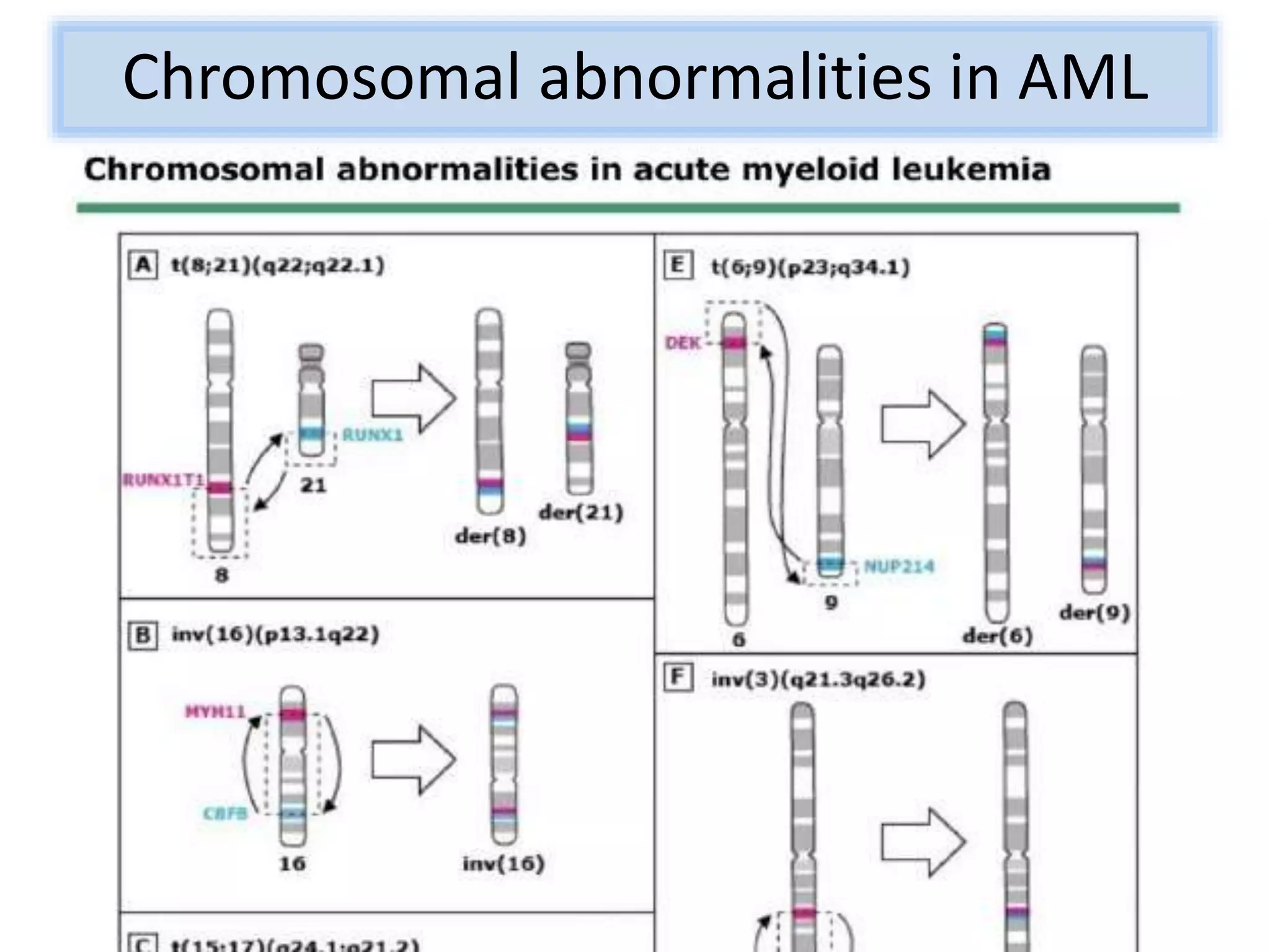Acute Leukemia Cytogenetics | PPTX