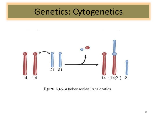 Acute Leukemia Cytogenetics | PPTX