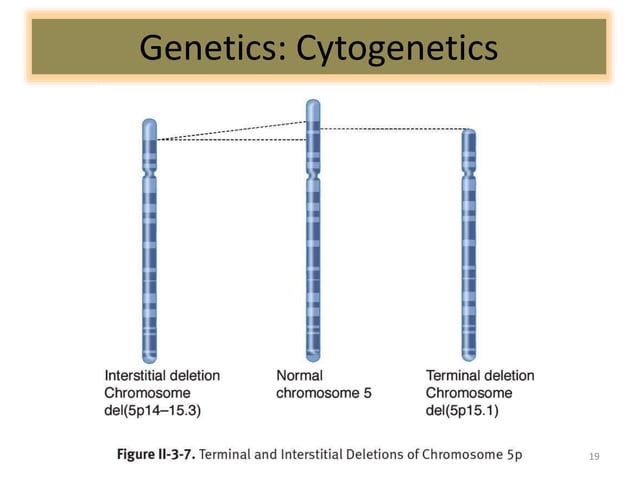 Acute Leukemia Cytogenetics | PPTX