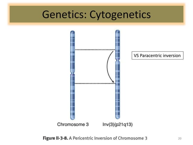 Acute Leukemia Cytogenetics | PPTX