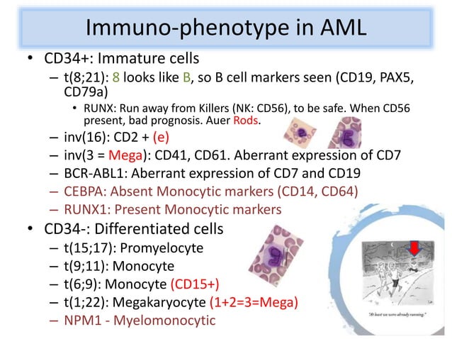 Acute Leukemia Cytogenetics | PPTX