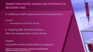 ACUTE MYELOID LEUKEMIA SIGNALLING | PPT
