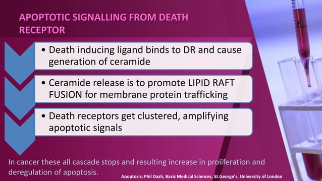 ACUTE MYELOID LEUKEMIA SIGNALLING | PPT