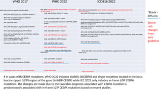 AML updates WHO 5th edition vs ICC (ELN 2022).pptx