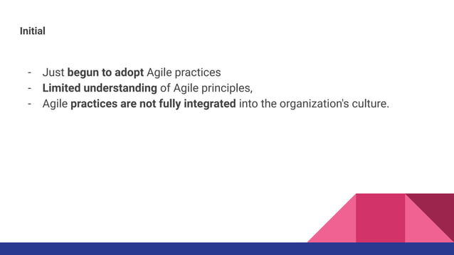 Agile Maturity Model, Certified Scrum Master! | PDF