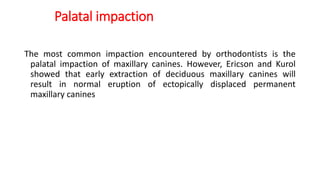 surgical and orthodontic management of impacted maxillary canines part ...