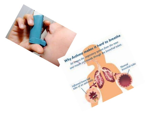 BAHAN PENCEMARAN DAN PEPARU | PPT