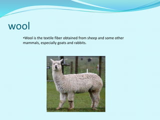 Ammar presentation.pptx