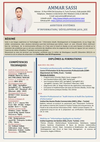 CV_AmmarSassi | PDF