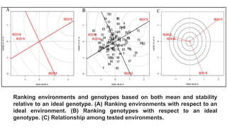 Additive Main Effects and Multiplicative Interaction for Class.pptx