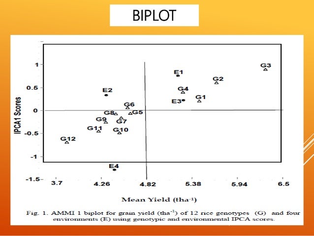 Ammi model for stability analysis Ammi model for stability analysis