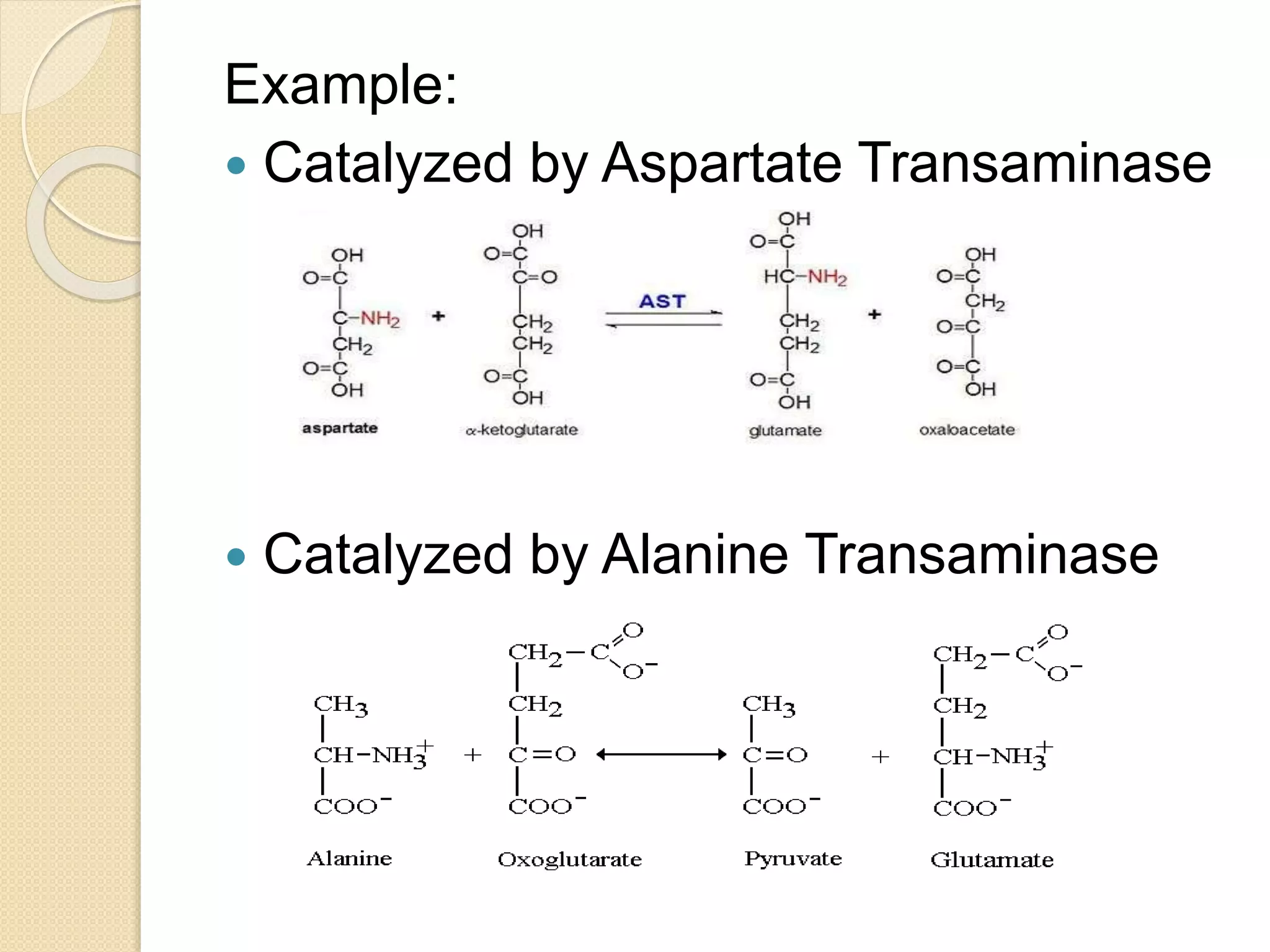 Ammonia assimilation and transamination | PPTX