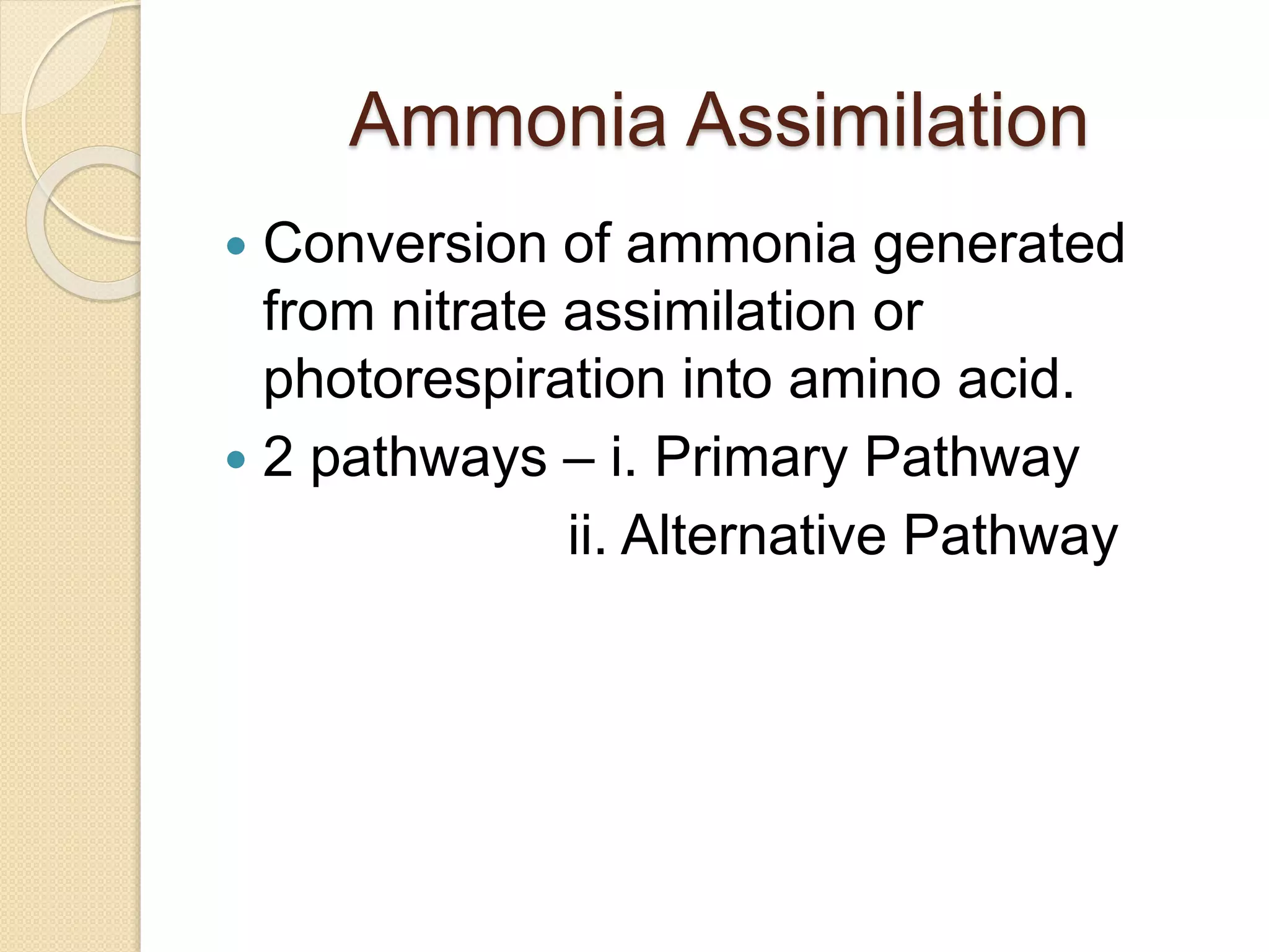 Ammonia assimilation and transamination | PPTX