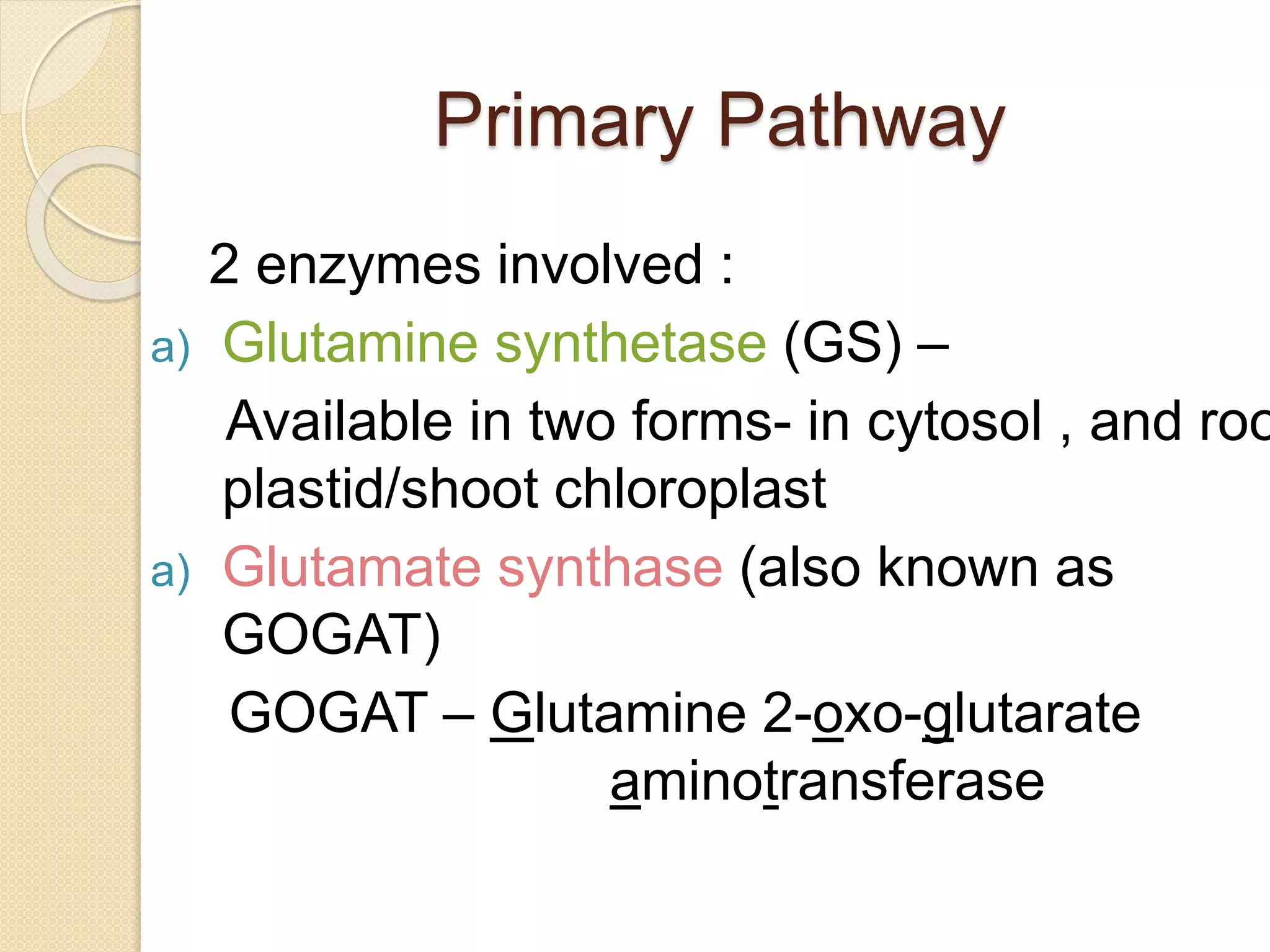 Ammonia assimilation and transamination | PPTX