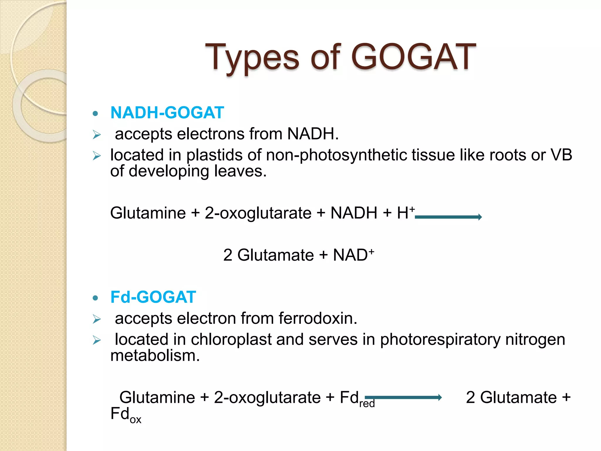 Ammonia assimilation and transamination | PPTX