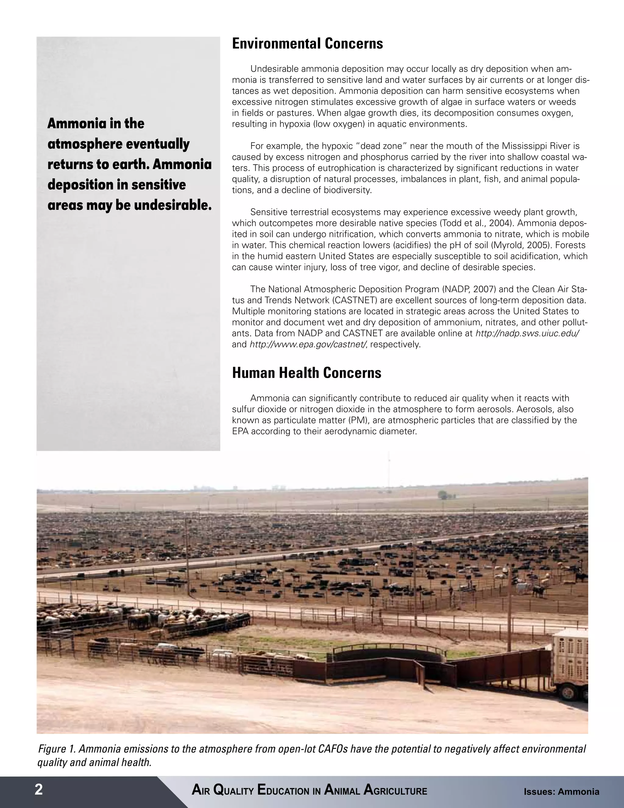 Ammonia from cattle feedingoperations final | PDF