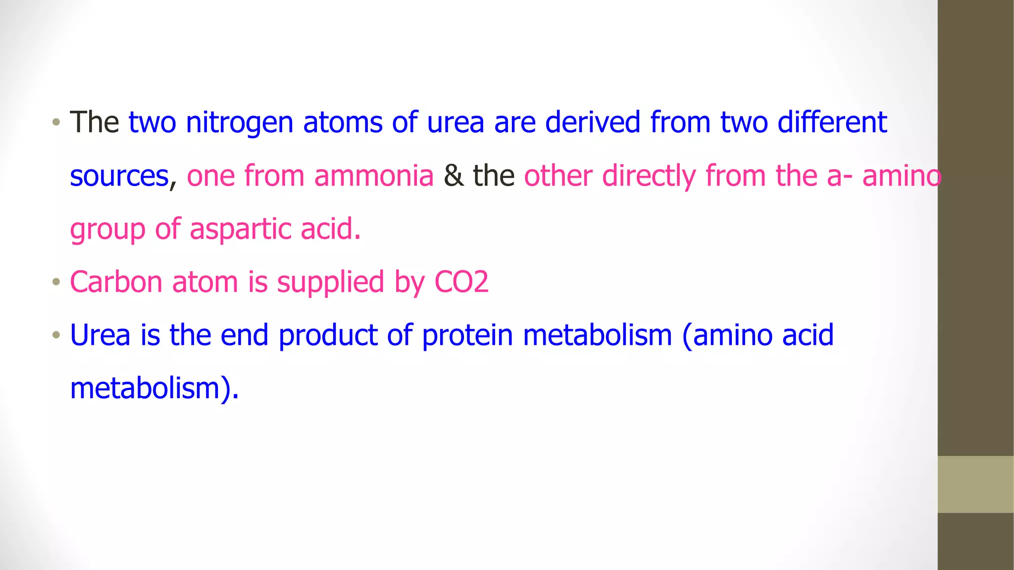 Ammonia metabolism | PDF