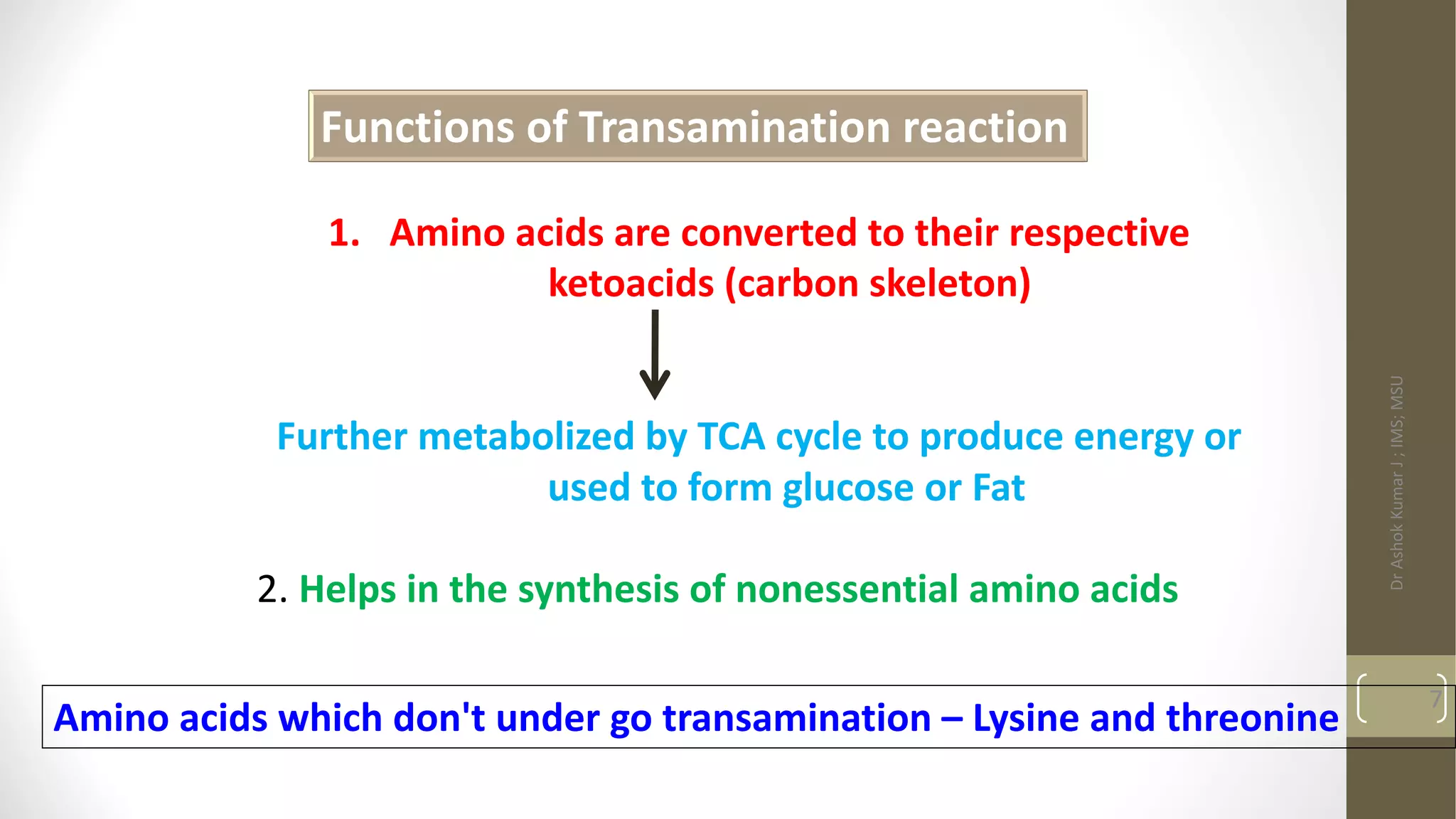 Ammonia metabolism | PDF