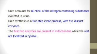Ammonia metabolism | PDF