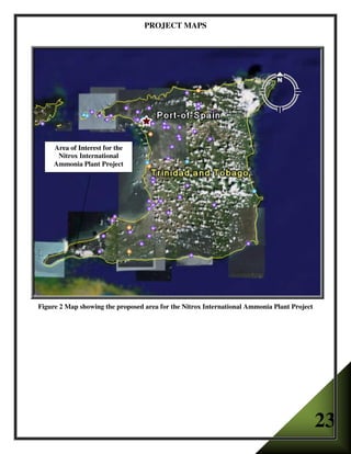 ammonia plant project.pdf